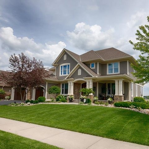 Symbiosis Between Termites and Protists | MightyMite Termite