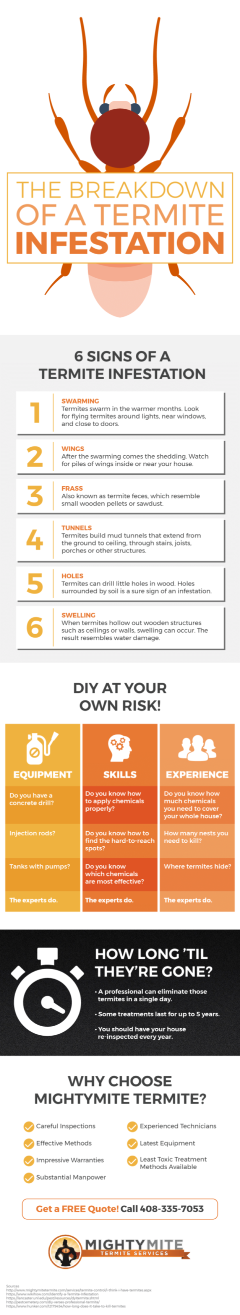 The Breakdown of a Termite Infestation | MightyMite Termite