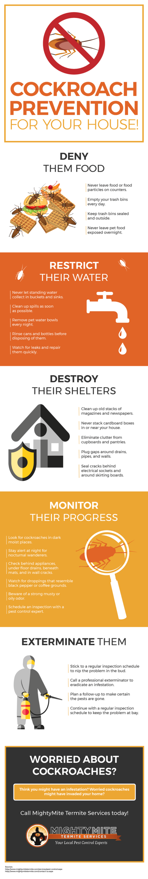 Effective Cockroach Prevention Tips for Your Home