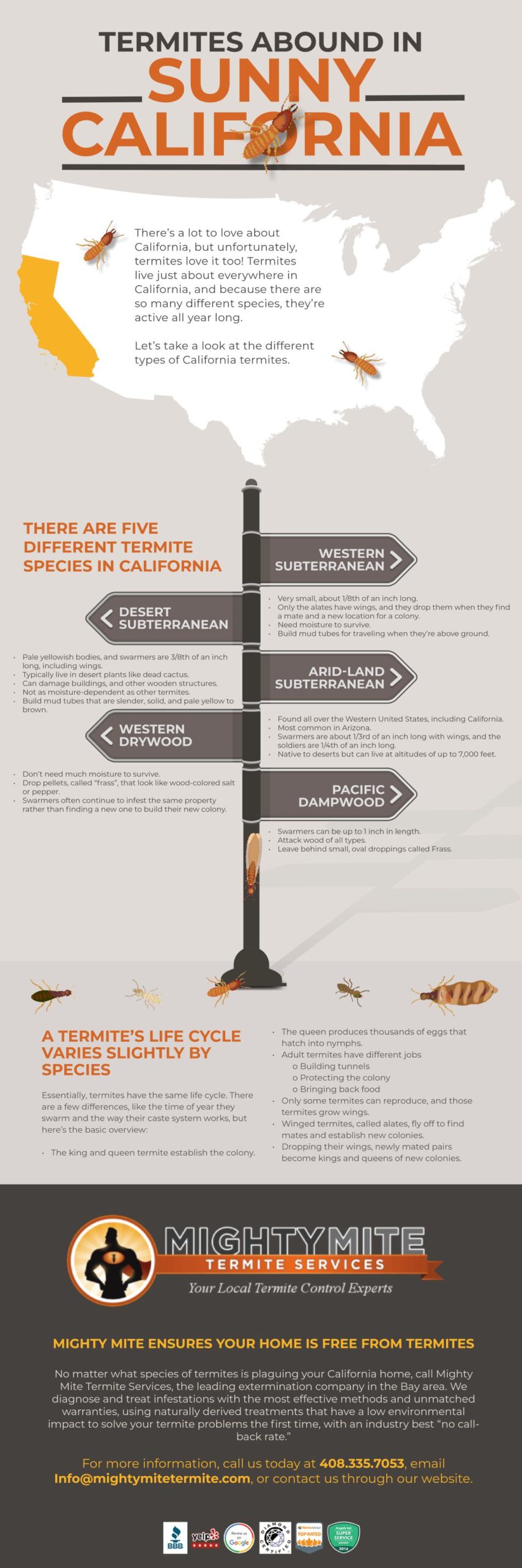 California Termites | MightyMite Termite in San Jose, CA
