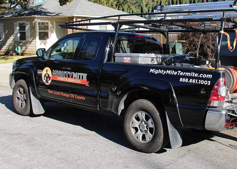 Expert Termite & Pest Control Services in Bay Area, CA