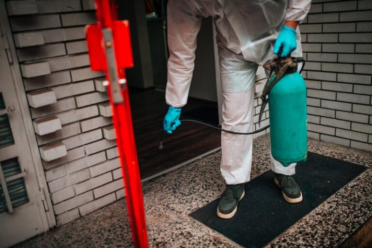 How Does Liquid Termite Treatment Work?